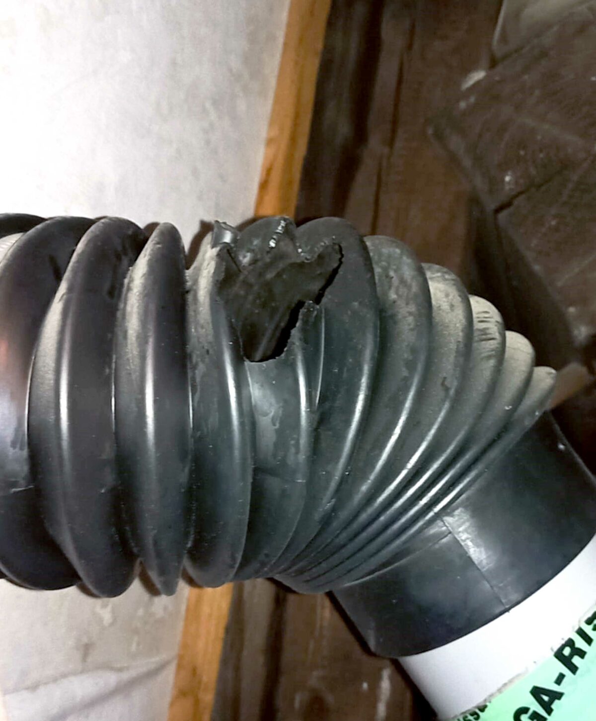 Pipe|Sec Rattensperre / Rattenklappe zum einfachen Nachrüsten